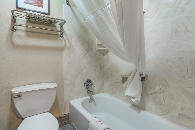 Best Hotels in Flagstaff - Gallery | Comfort Inn Flagstaff Lucky Lane